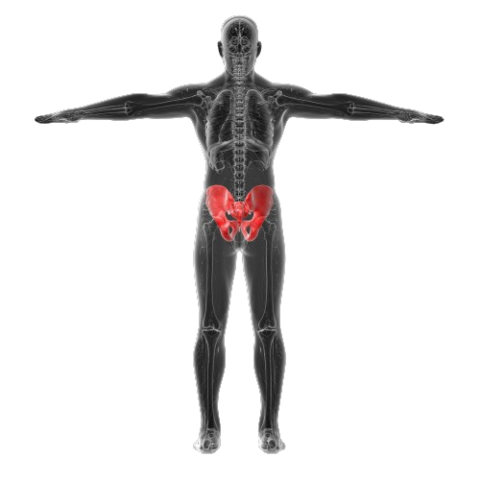 PUDENDAL NERVE NEUROPATHY - Innovative Therapy Canada
